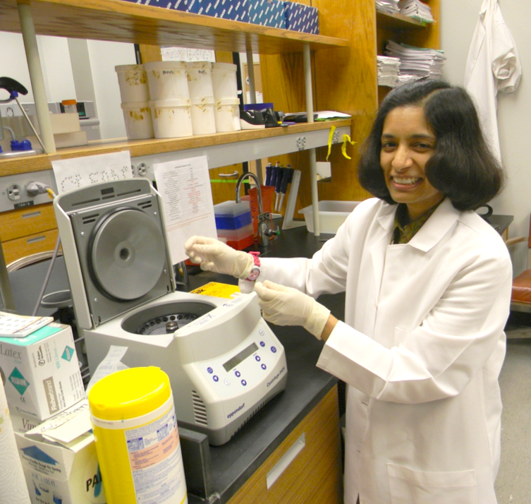USF Researcher Meera Nanjundan Has Received NIH R21 Grant News Research Innovation USF usf-researcher-meera-nanjundan-has-received-nih-r21-grant-news-research-innovation-usf